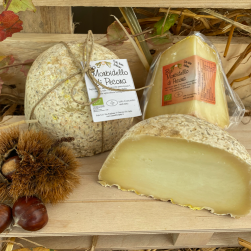 Buy Morbidello di pecora - Local Products | CrowdFarming